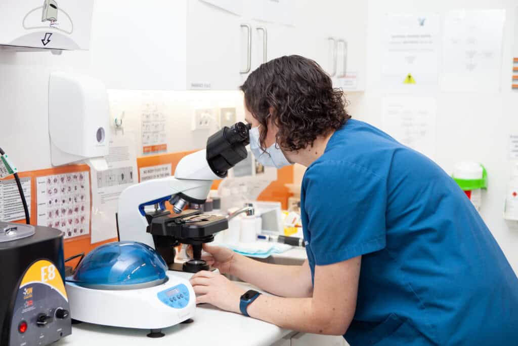 About - Animal Emergency