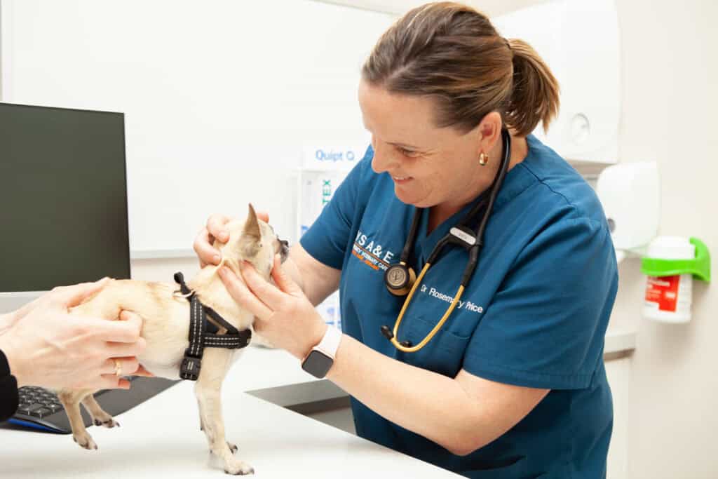 Careers - Animal Emergency