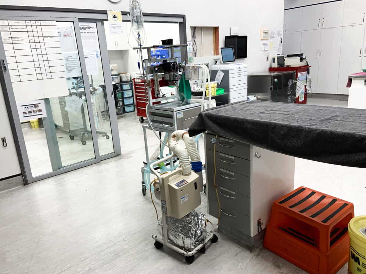 Home - Animal Emergency